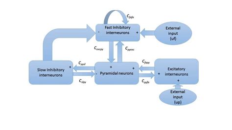 Schematic Of Neural Mass Model Download Scientific Diagram