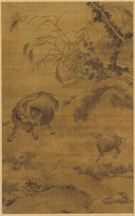 Water Buffalo Asian Bestiary
