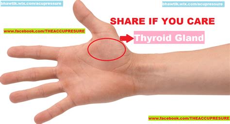 Thyroid Acupressure Point Pan Mega Healing Massage Facebook