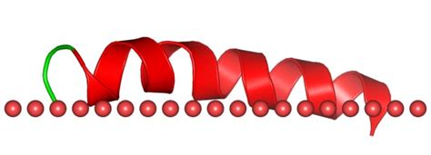 Mempro™ Cell Based Peptide Fragments Of Water Soluble Proteins Production Creative Biostructure