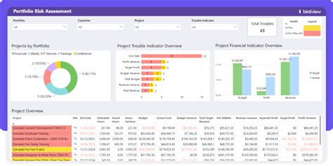 Project Dashboards Types Examples And Benefits Birdview