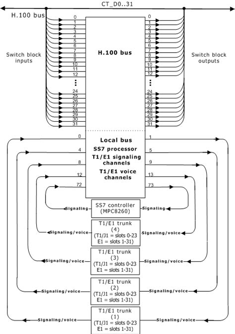 TDM For SS Developer S Reference Manual PCI And PCI Express TX Switch Model