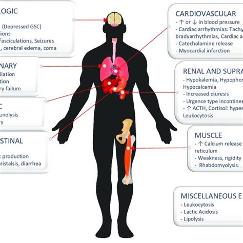 Physiological Effects Of Caffeine Intoxication Adapted From
