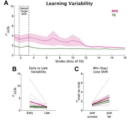 Motor Variability A Motor Variability Across The Learning Phase Download Scientific Diagram
