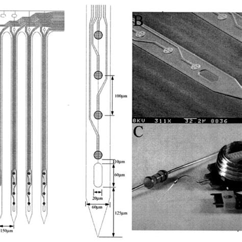 pdf silicon substrate intracortical microelectrode arrays for long