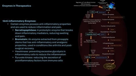 Enzyme Application In Health Unisayogyakartapdf