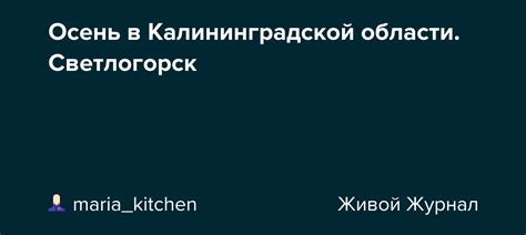 Осень в Калининградской области. Светлогорск: maria_kitchen — LiveJournal