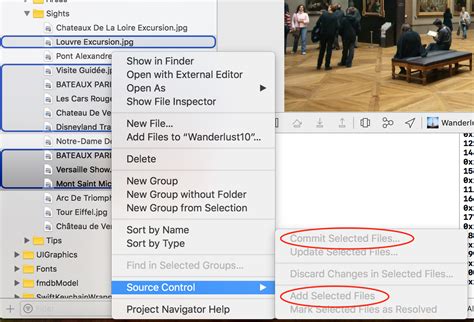 Version Control What Does Question Mark Mean In Xcode Project