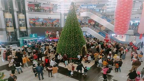 بشجرة كريسماس ضخمة مواطنو القليوبية يحتفلون بالعام الجديد صور مصراوى