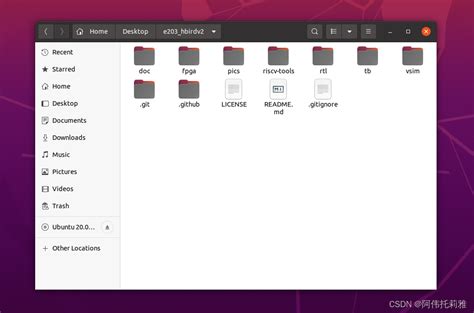 蜂鸟e203运行verilog仿真测试e203仿真 Csdn博客