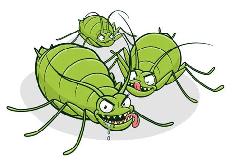 80 Aphids Cartoon Stock Illustrations Royalty Free Vector Graphics