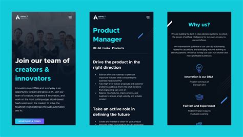 Impact Analytics Revolutionizing Business