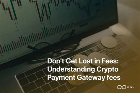 Learn About Crypto Payment Gateway Fees