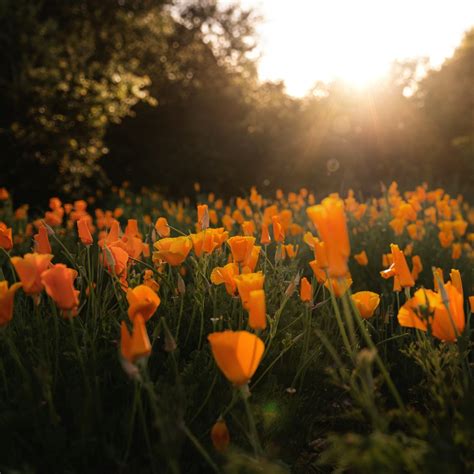 Beth Mcdonald Obituary Vancouver Bc