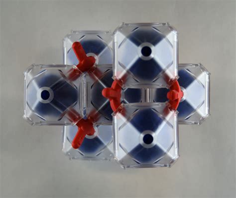 Polyhedral Model Kit