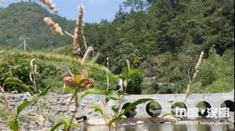 汉阴村级扶贫互助资金协会 贫困户身边的“草根银行” 汉阴县人民政府