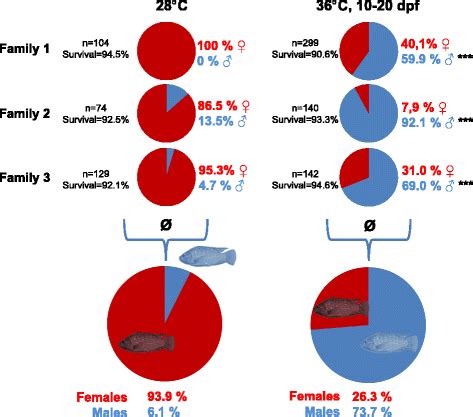 Sex Ratios Numbers Of Sexed Individuals And Survival From Dpf Download Scientific Diagram