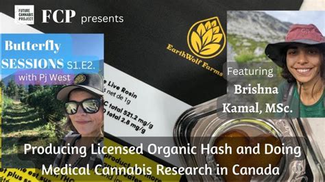 Pamela West On Linkedin Now On Future Cannabis Project Brishna Kamal