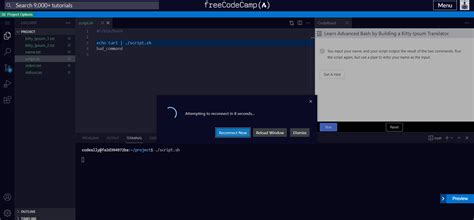 Learn Advanced Bash By Building A Kitty Ipsum Translator Build A Kitty Ipsum Translator