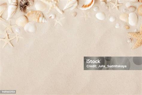 여름 여행 디자인을 위한 자연스러운 질감의 배경으로 흰색과 베이지색 조개껍데기와 불가사리 컬렉션이 있는 여행 휴가 모래 해변 0명에 대한 스톡 사진 및 기타 이미지 Istock