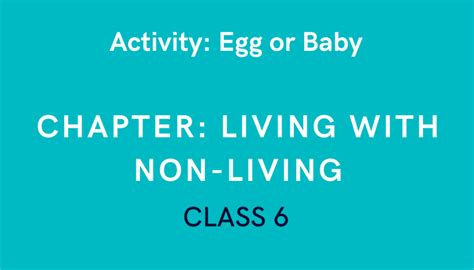 Electroplating Method In Electrical Conductivity Of Liquids Class 8 Science Experiment