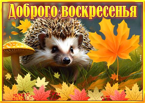 Современная и чувственная гиф открытка Доброго воскресенья Скачать бесплатно на