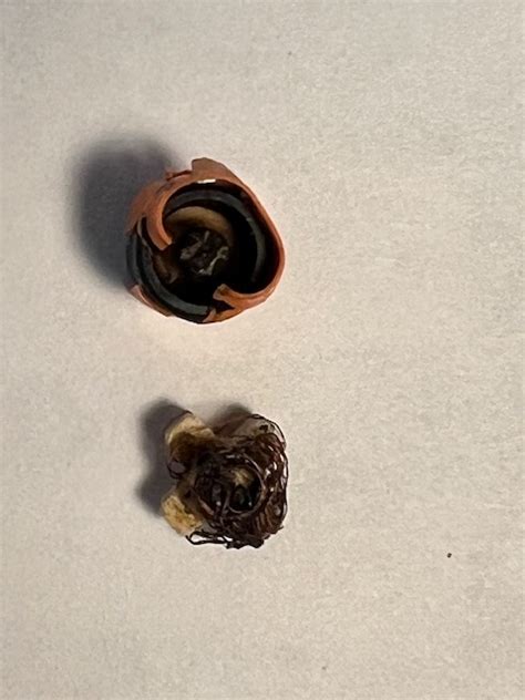 What Type Of Resistor Is This Panasonic Gallery HiFi Engine