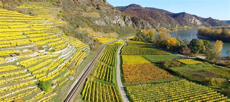 Конвертируем данные excel в json dr brain