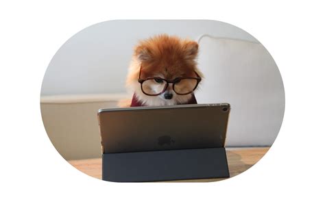 Solved Images Dont Support Border Radius When Set To Bugs Bricks