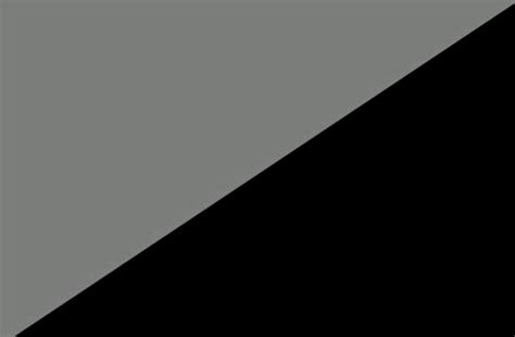 安那其主要旗帜一览（常识级） 哔哩哔哩