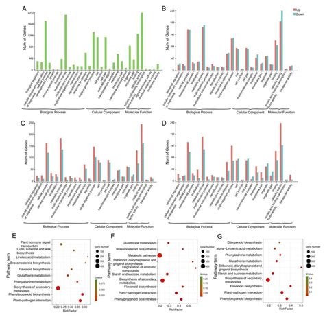 go and kegg annotation of unigenes of different free nuclear mitosis