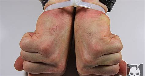 Shelby Miner S Spiffy Commonplace Blog The Day I Learn How To Escape Zip Ties Always