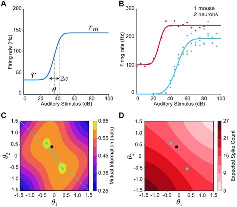 The Tuning Of Auditory Nerve Fibers Anfs Match Predictions From