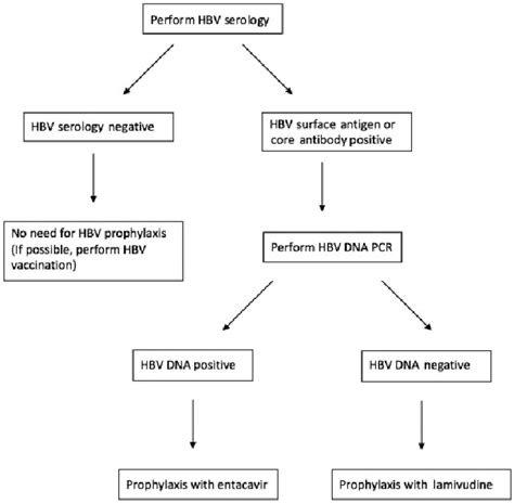 Algorithm For Minimizing The Risk Of Hepatitis B Virus Reactivation In