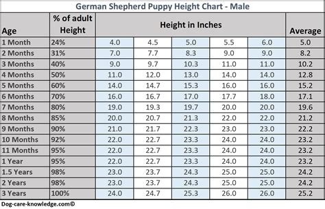German Shepherd Puppy Growth Chart Dog Size Chart The Black Dog
