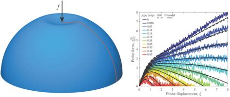 Shells And Plates ‒ Flexlab ‐ Epfl