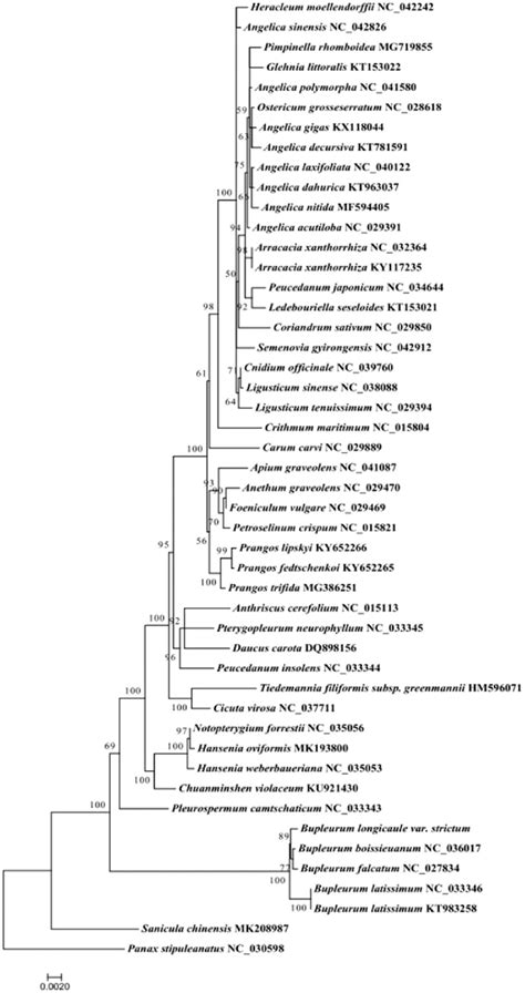 Maximum Likelihood Phylogenetic Tree Based On 48 Complete Chloroplast