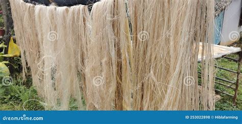 What Is Abaca Fibers At Evelyn Shank Blog