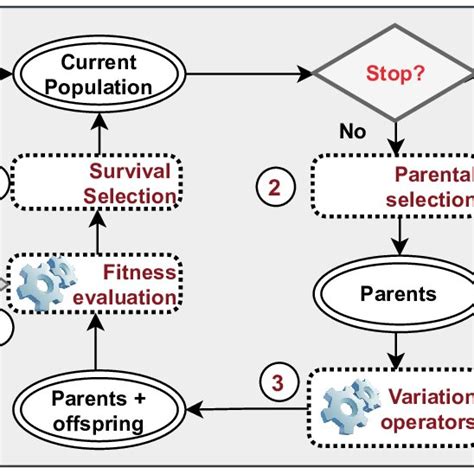 Genetic Learning Evolutionary Loop Steps And Concern The Download Scientific Diagram