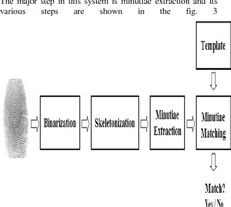 Figure 3 From Gender Classification System Derived From Fingerprint Minutiae Extraction