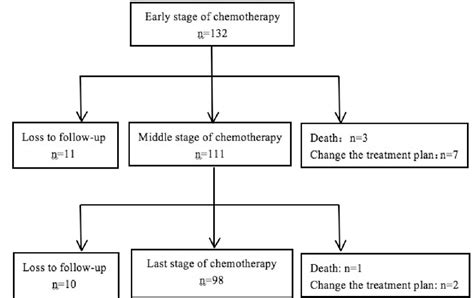 Flowchart Of The Longitudinal Study