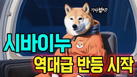 시바이누코인 주말속보 시바이누 역대급으로 반등 시작 필수시청하세요 Youtube