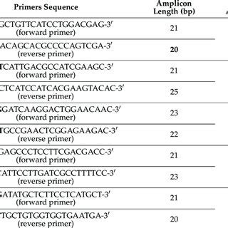 Sequences Of Forward And Reverse Primers For Real Time RT PCR Download Scientific Diagram