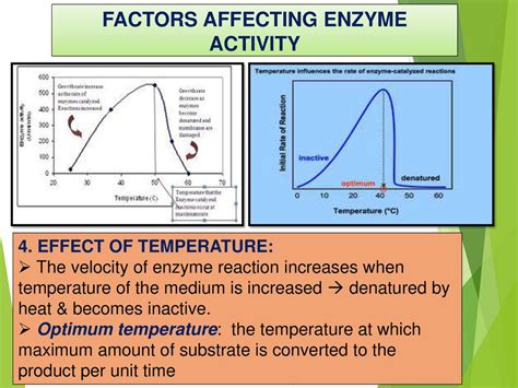 Unit 7 Enzymology Ppt Download