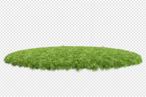 Various Types Of Grass Rendering Isolated Premium Psd