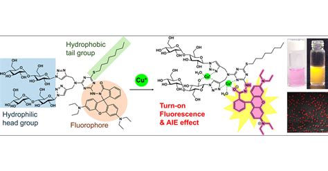 Chromo Fluorogenic Rhodamine Based Amphiphilic Probe As A Selective And Sensitive Sensor For