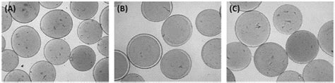 Alginate Based Polycationic Microcapsule And Applications Thereof In Embedding Bioactive
