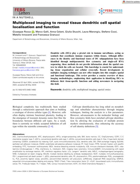 Pdf Multiplexed Imaging To Reveal Tissue Dendritic Cell Spatial Localisation And Function