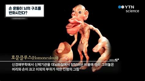 손 운동이 뇌의 구조를 변화시킨다 Ytn 사이언스 Youtube