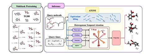 Atom Pretrained Neural Operator Enables Multitask Molecular Dynamics